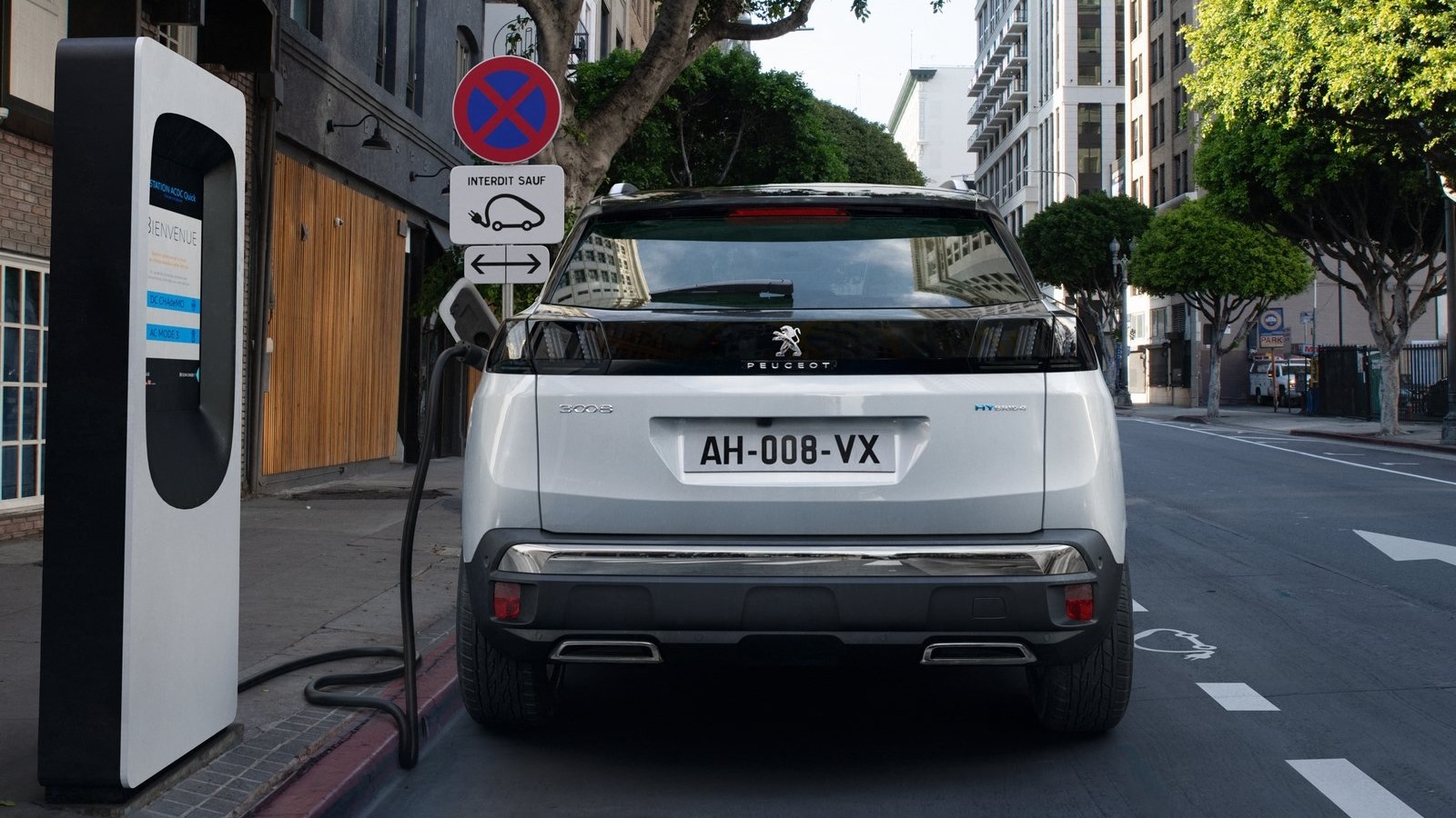 Analizamos y enfrentamos al Peugeot 2008 y al Peugeot 3008 | carwow
