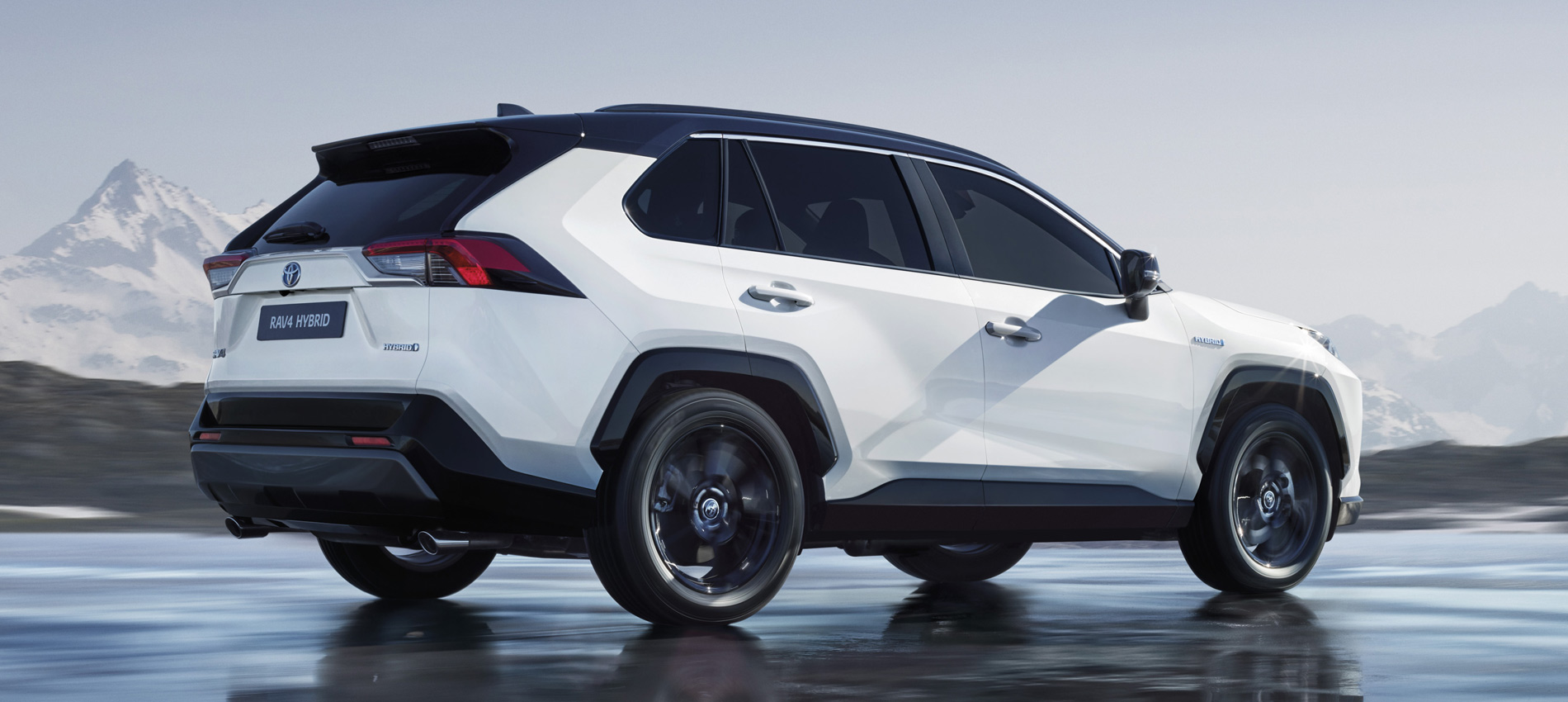 Comparativa: Toyota C-HR vs Toyota RAV4 | Diferencias, precios y ...